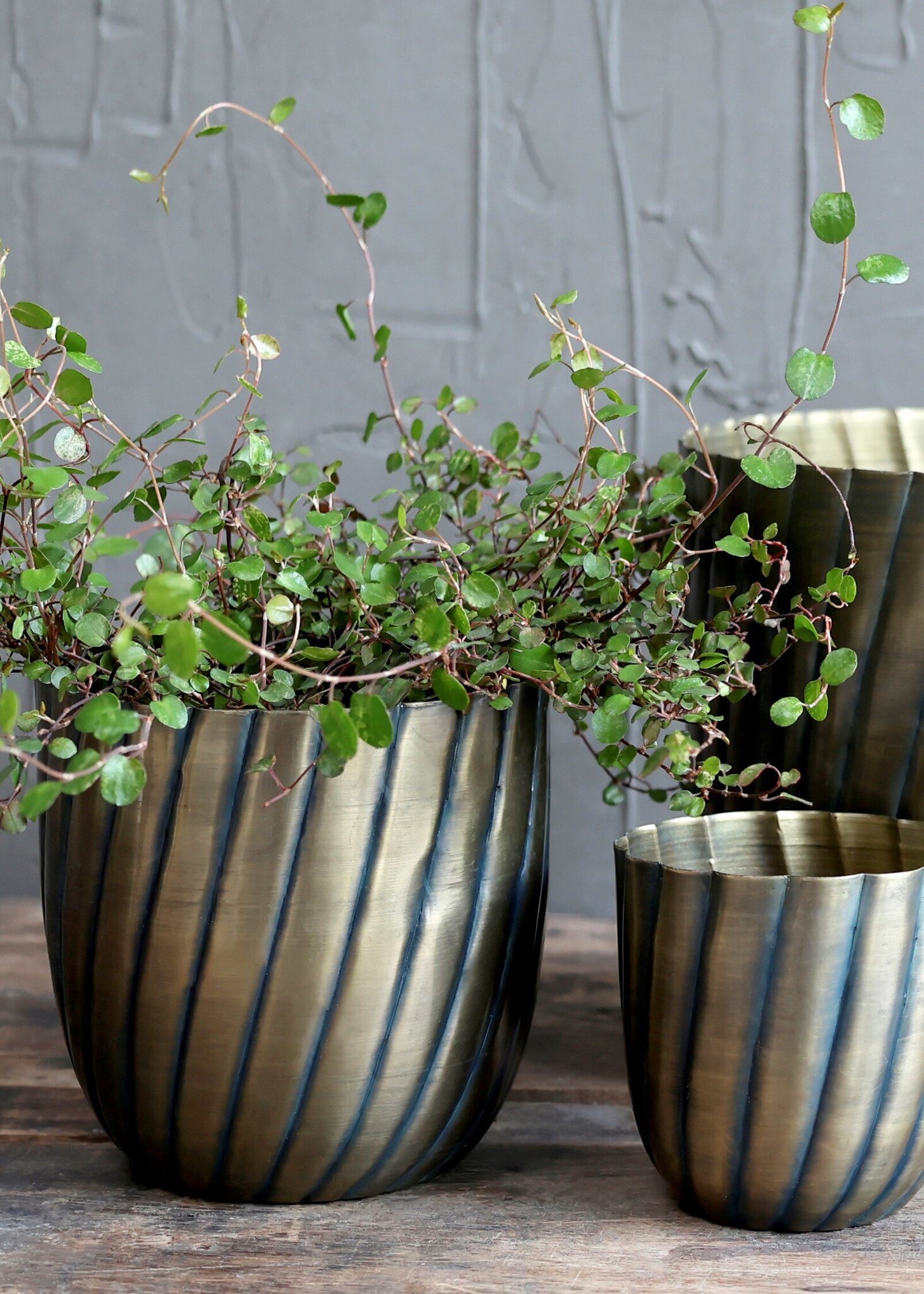 Blumentopf mit Rillen 3er-Set von Chic Antique günstig bestellen | SKANDEKO