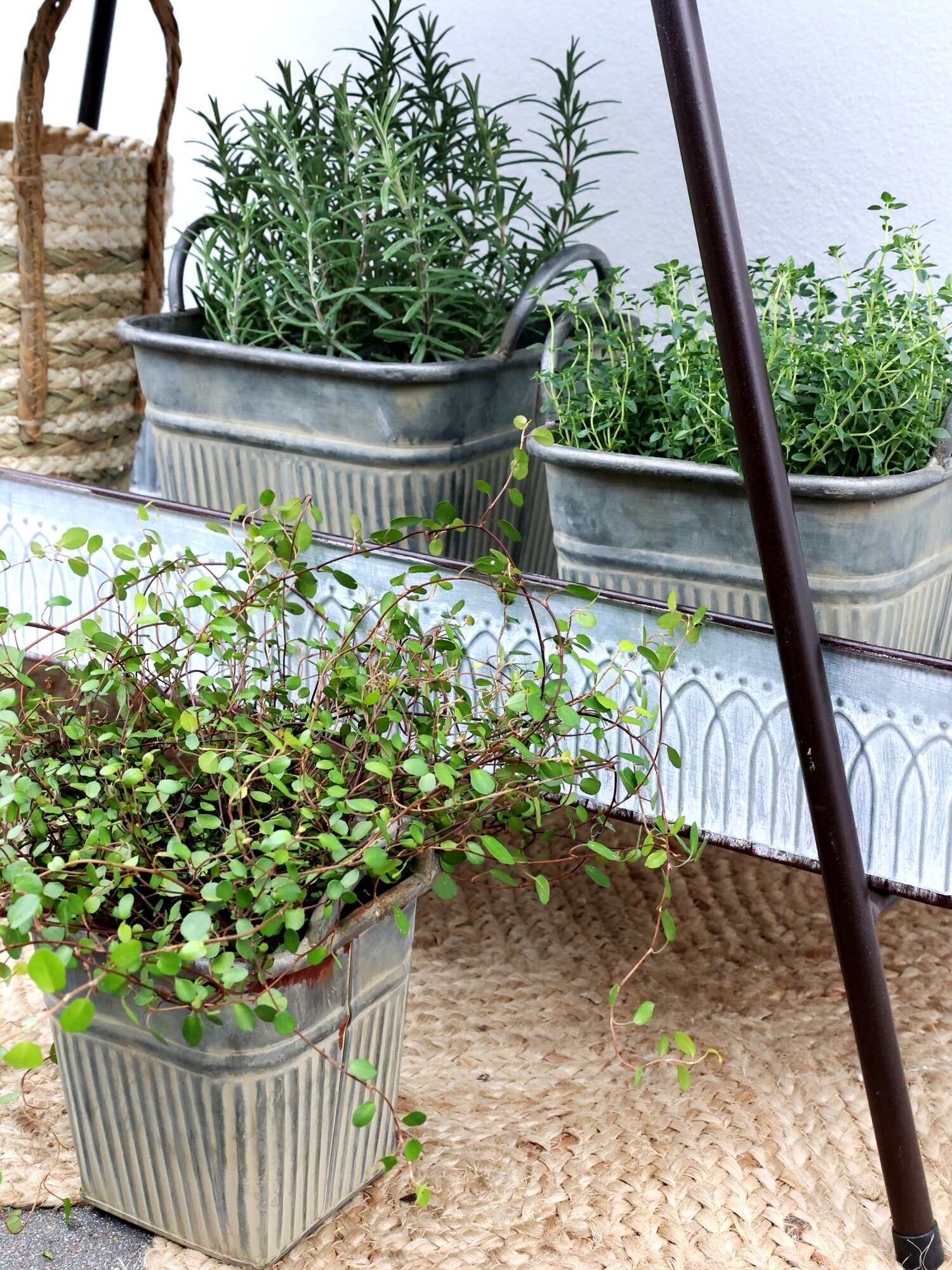 Blumentopf mit Rillen und Griffen von Chic Antique günstig bestellen ...