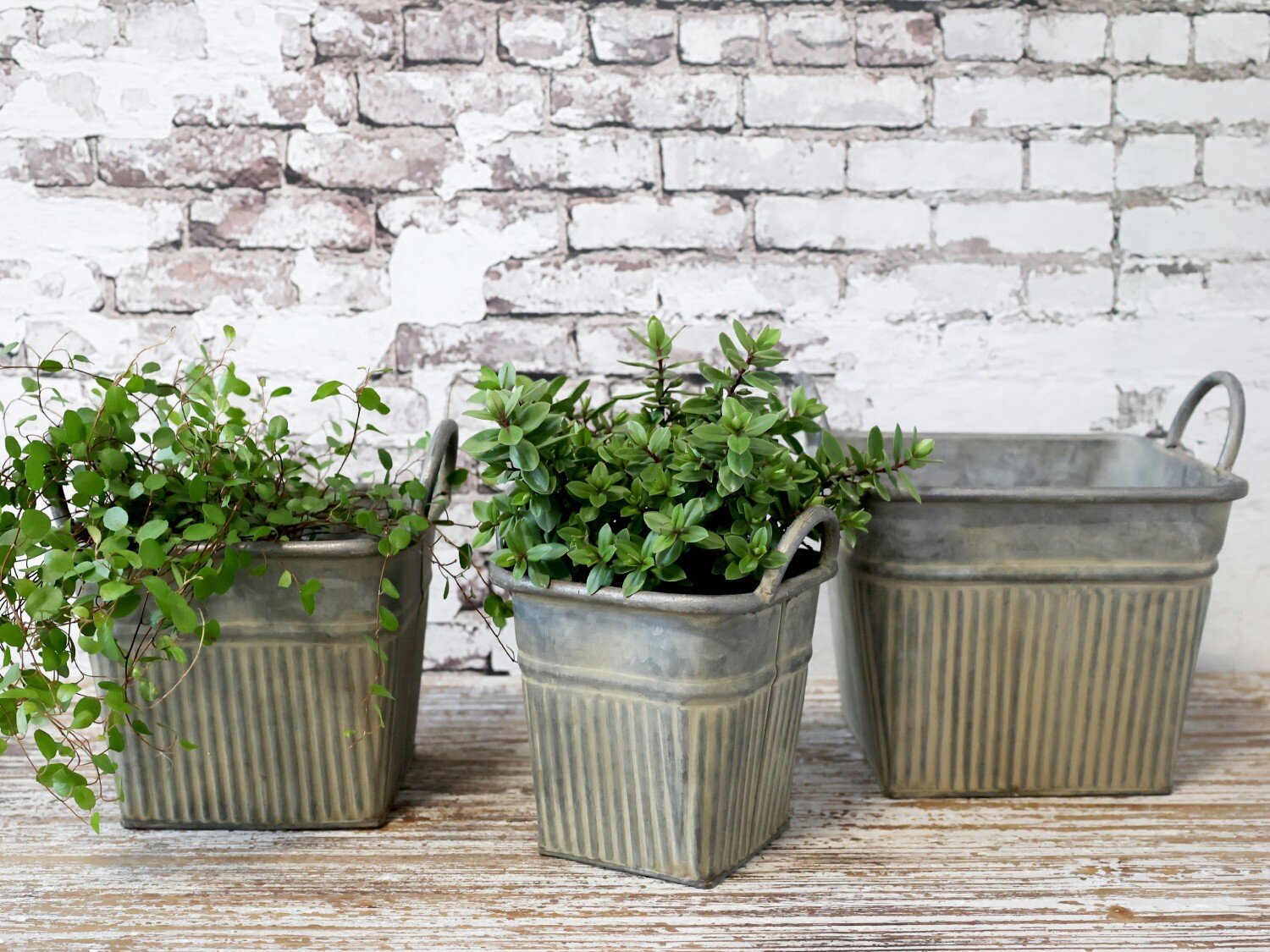 Blumentopf mit Rillen und Griffen von Chic Antique günstig bestellen ...